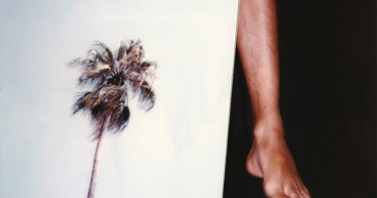 Patrick Angus | Edward Cella Art & Architecture